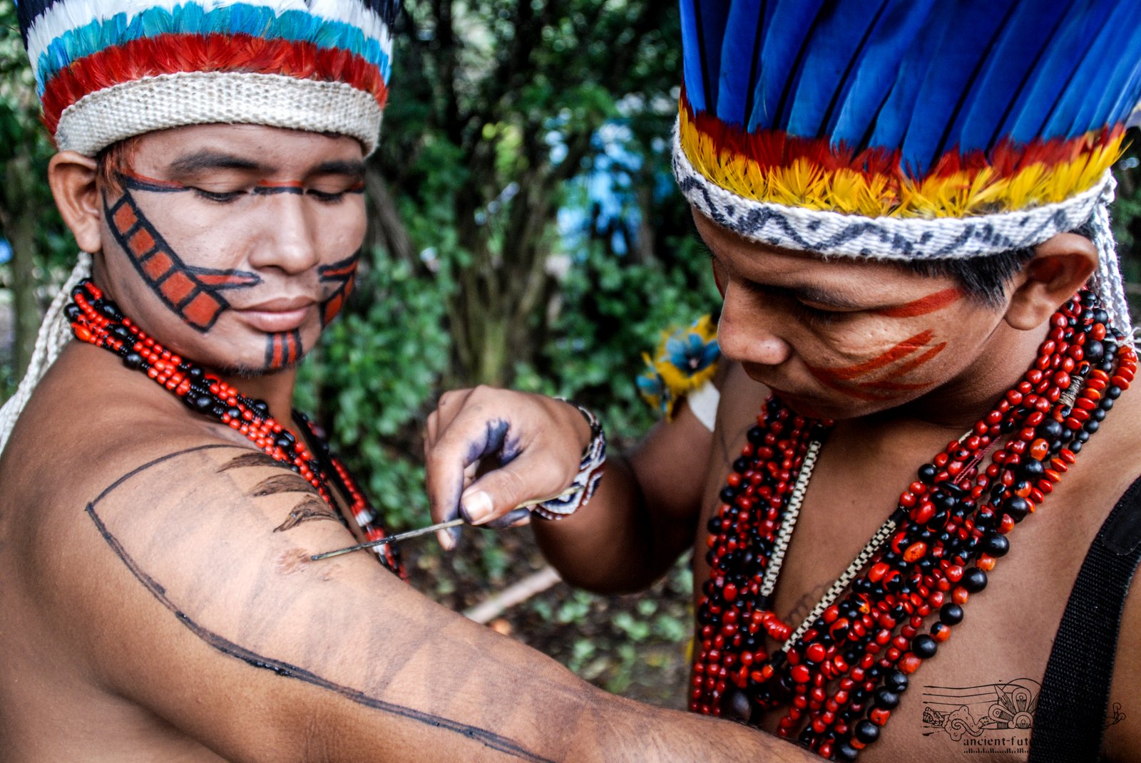 Indigenous People Rio +20 - Voices of Amerikua